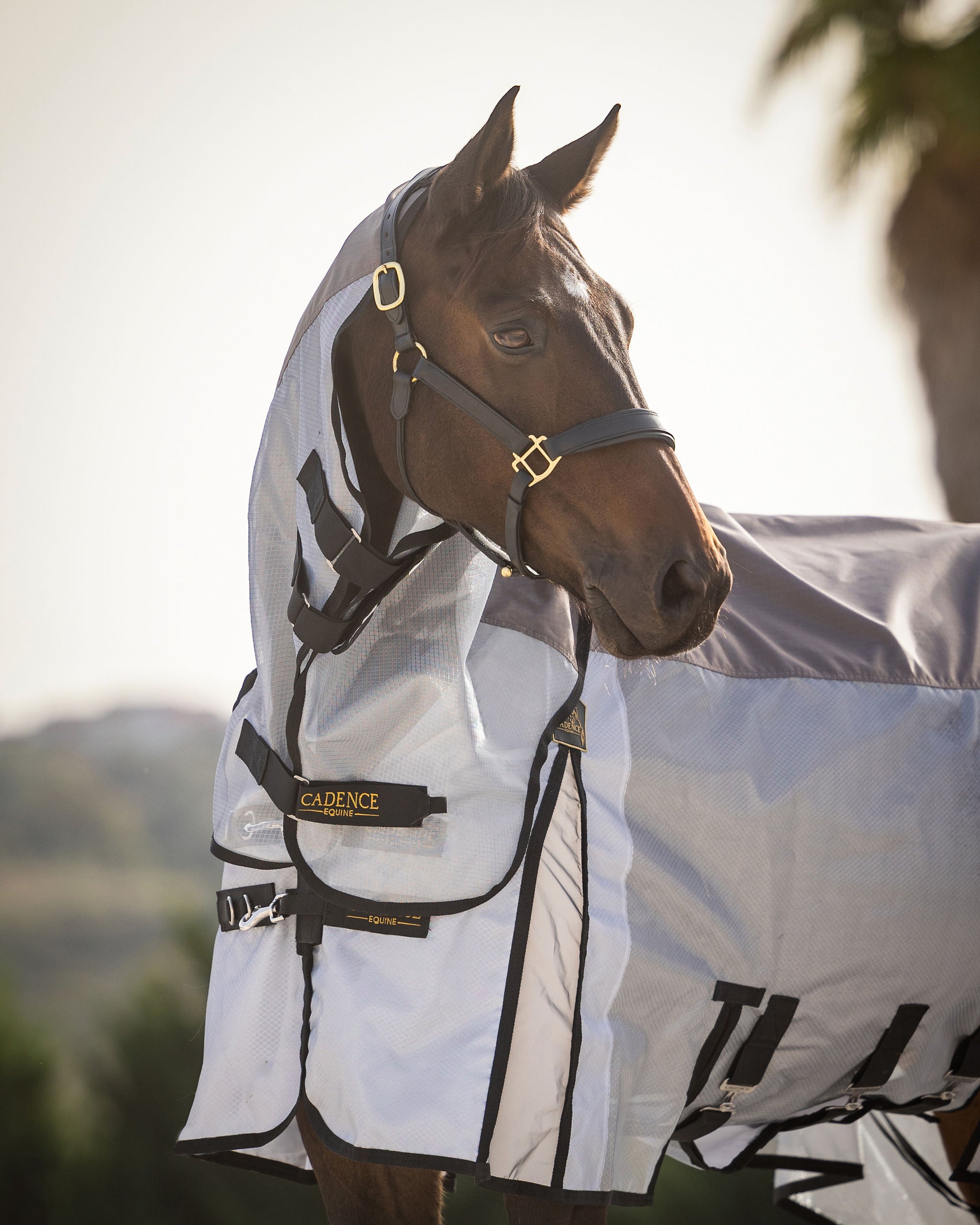 Fly Force - Fly Mask - Cadence Equine